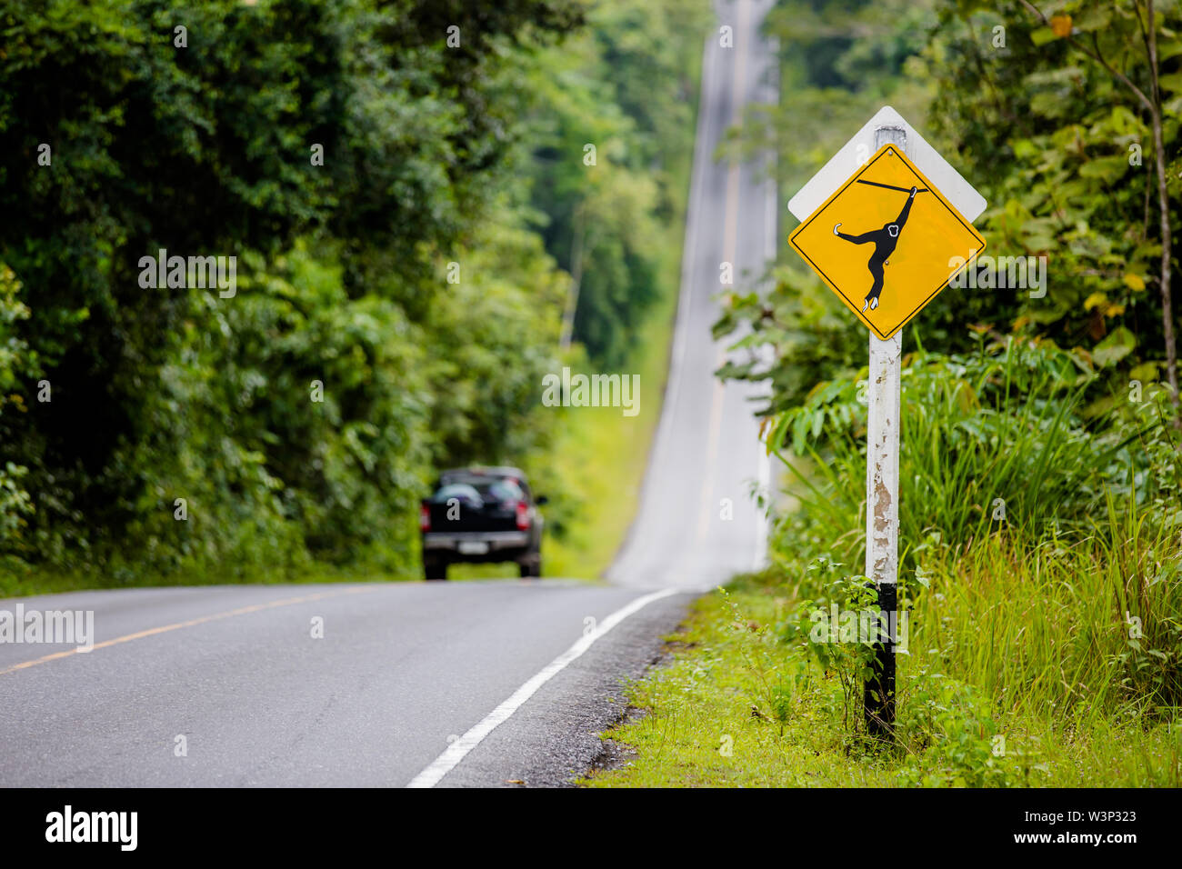 Monkey crossing sign hi-res stock photography and images - Alamy
