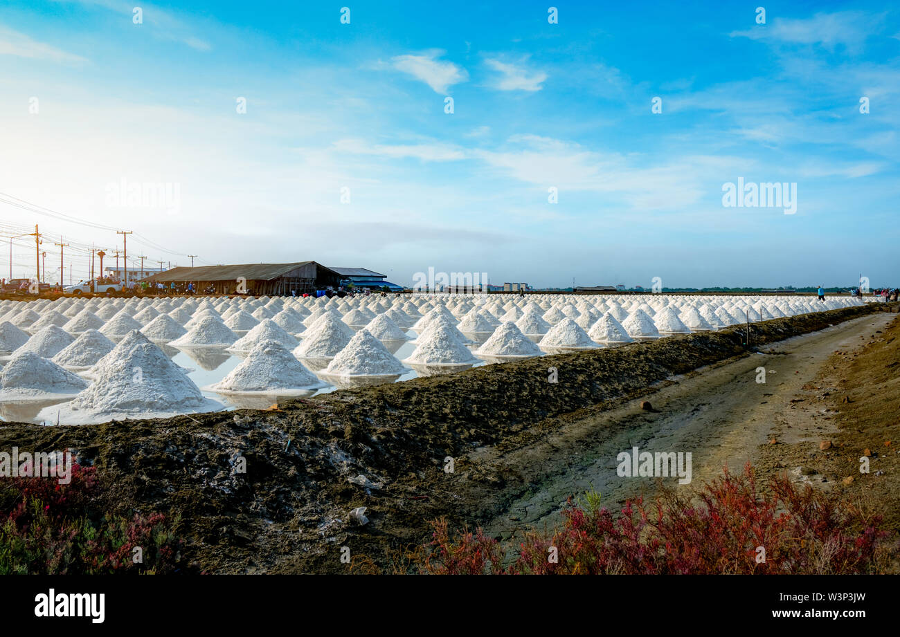 Solar sea salt production hi-res stock photography and images - Alamy