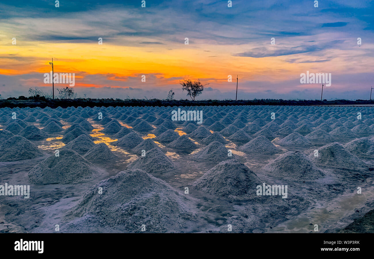 Salt farm in the morning with sunrise sky. Organic sea salt ...