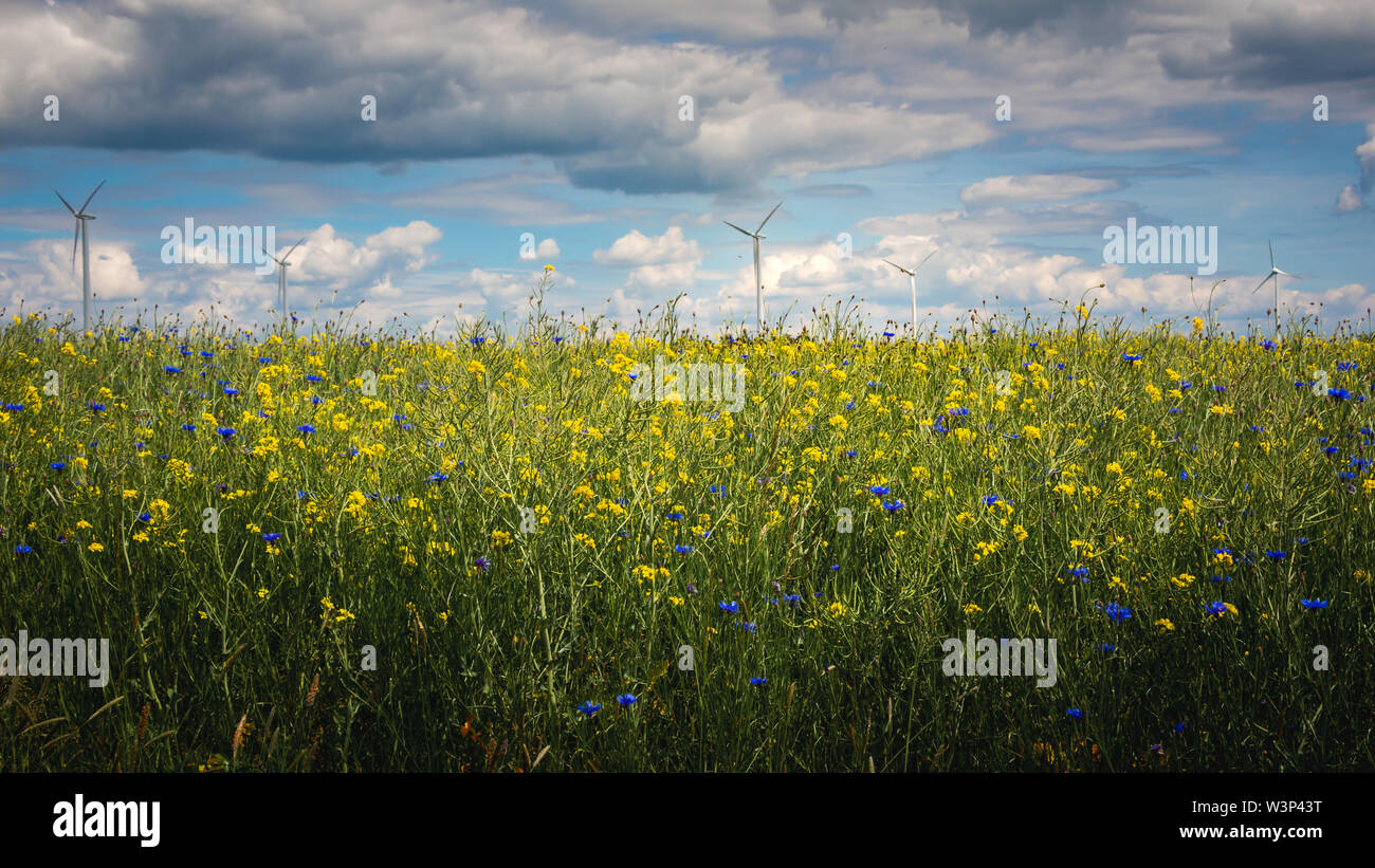 Wind turbines on a meadow, spring Stock Photo - Alamy