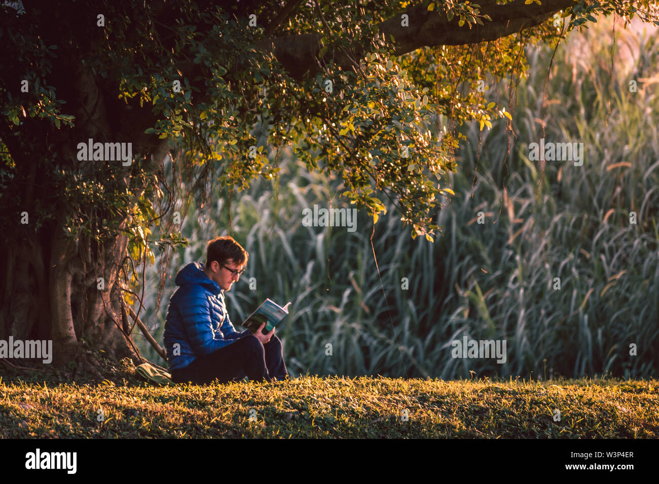 Reading under tree autumn hi-res stock photography and images - Alamy