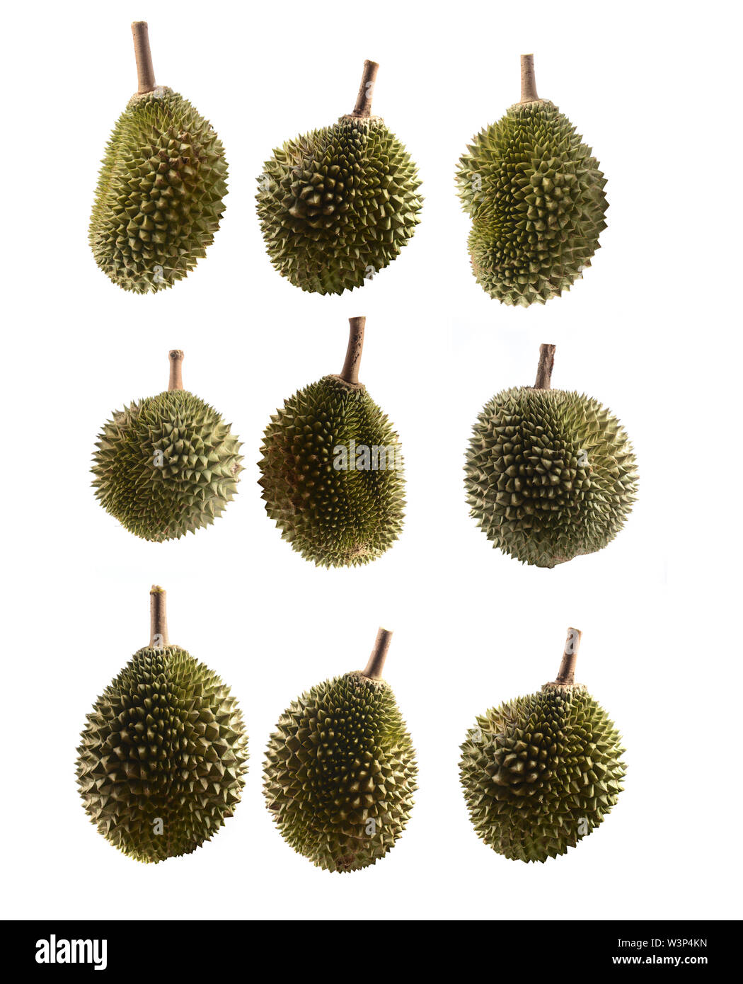 various durian isolated on white background Stock Photo - Alamy