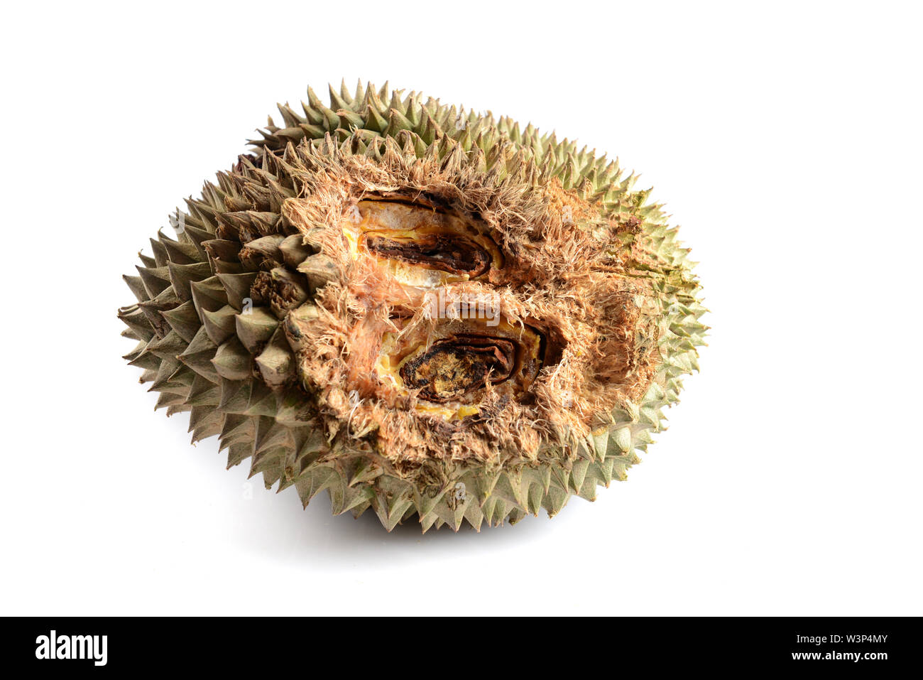 damaged durian in white background ,eaten by pest Stock Photo - Alamy