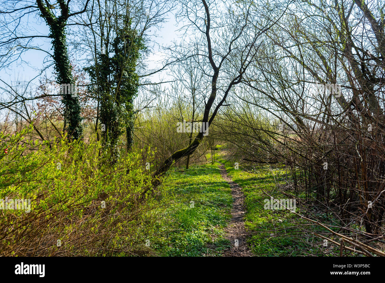 A photo safari through the Knoops Park in Bremen on the river Lesum ...