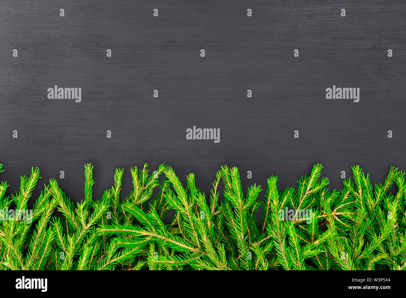 Christmas Border made of natural fir tree branches on black, Flat lay ...