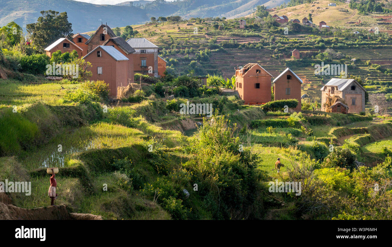 Rice terraces madagascar hi-res stock photography and images - Alamy