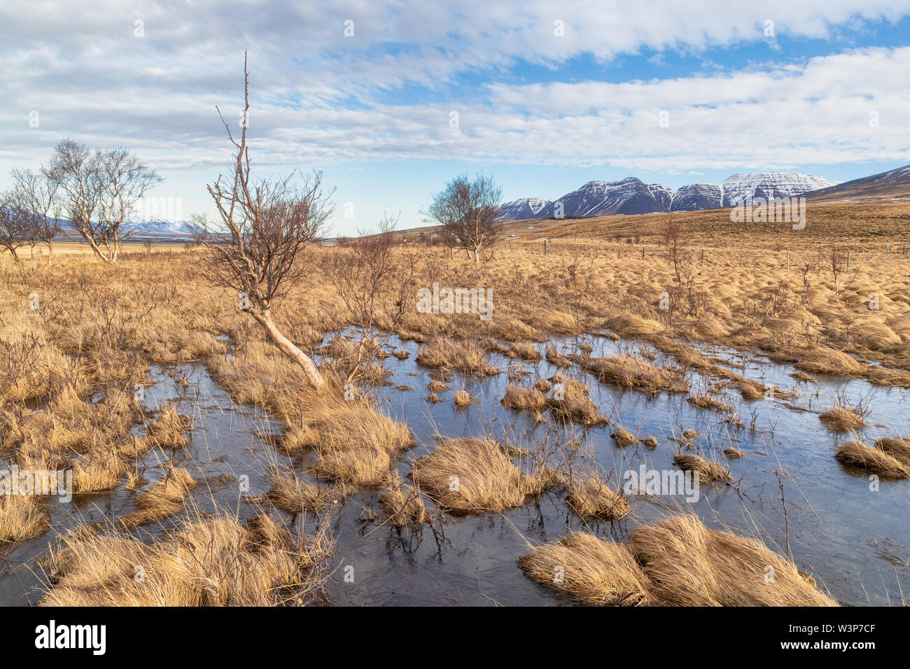 Dormant icelandic grass hi-res stock photography and images - Alamy