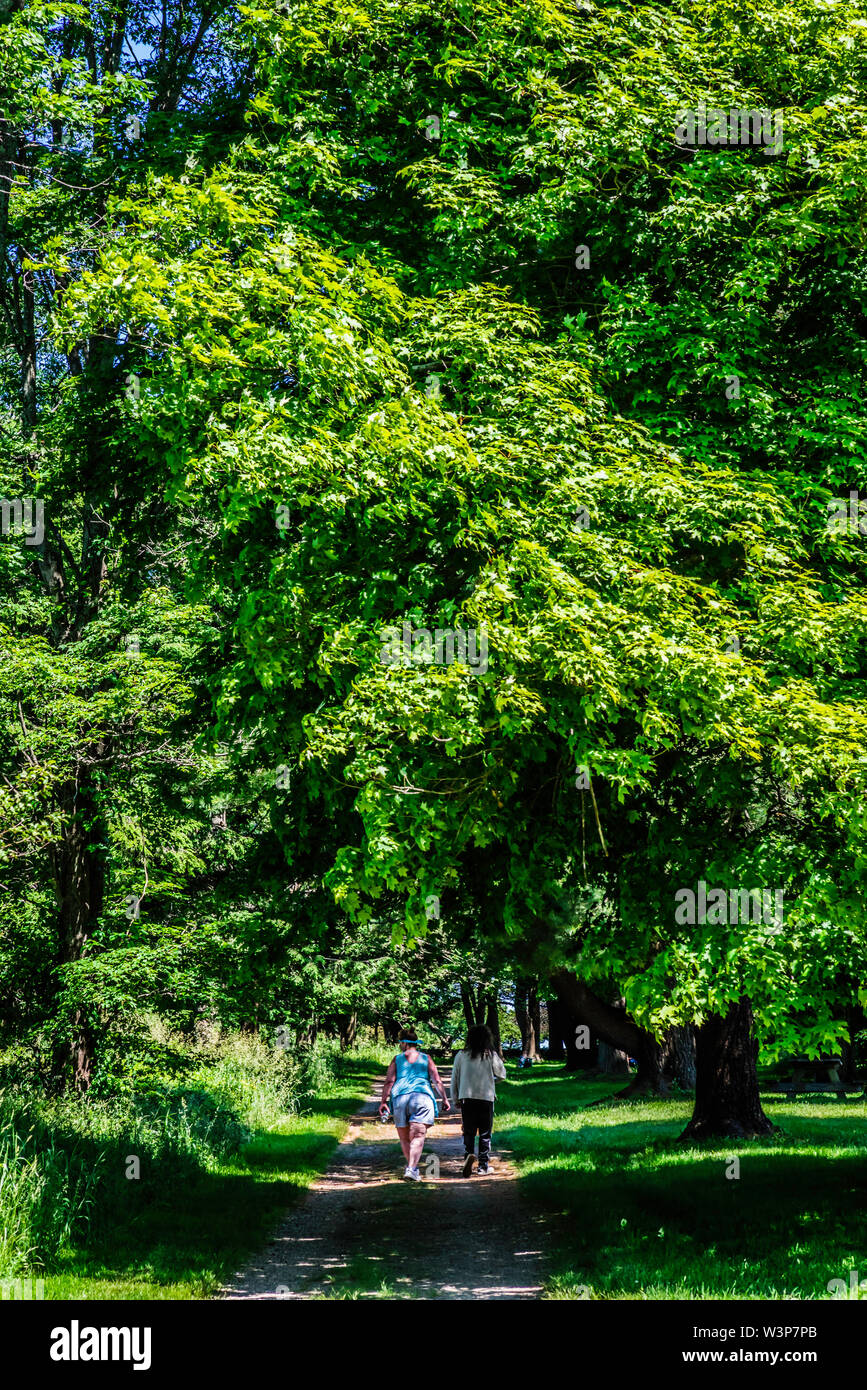 Topsmead State Forest Litchfield, Connecticut, USA Stock Photo - Alamy