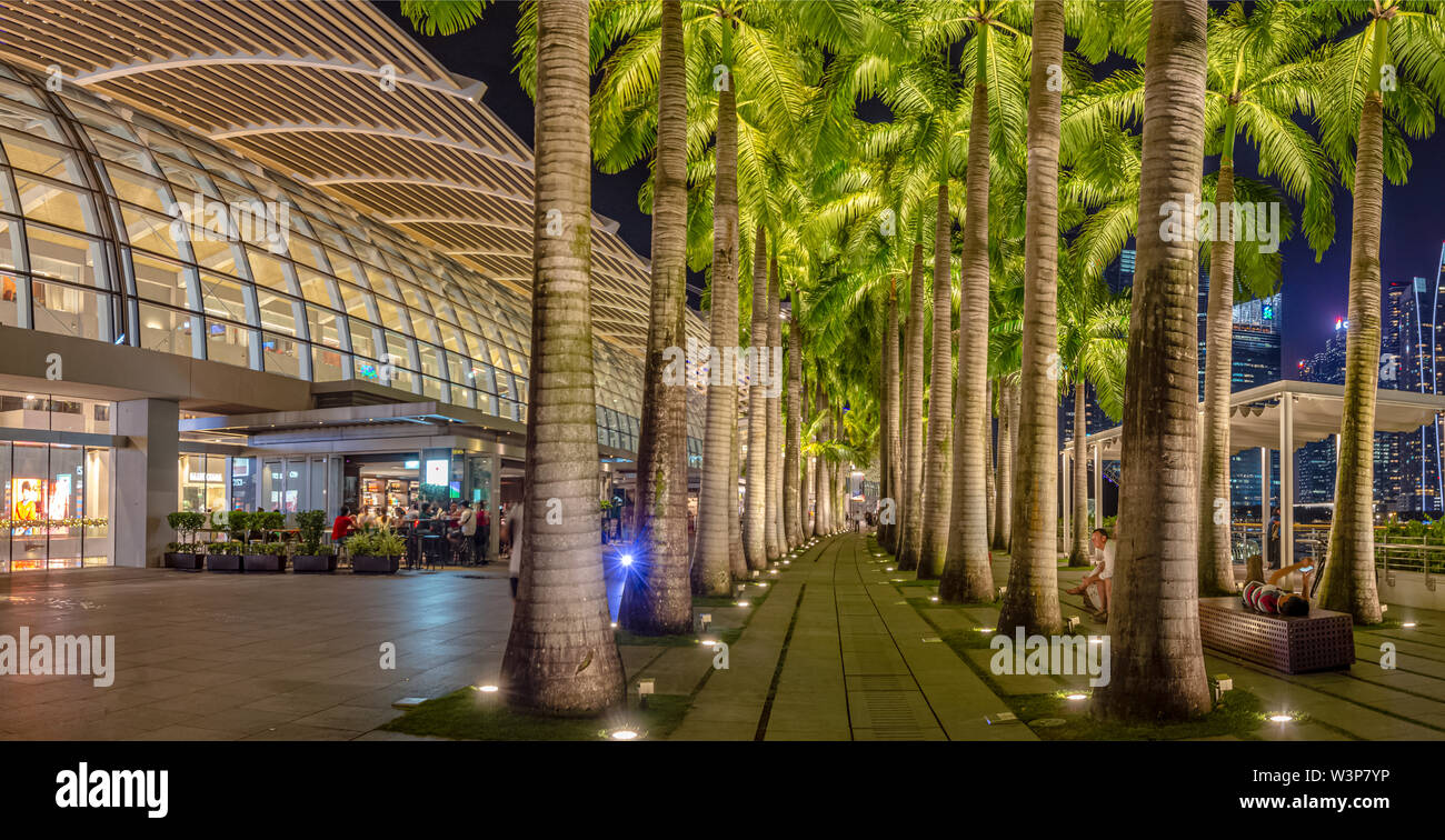 Palm trees at marina bay hi-res stock photography and images - Alamy