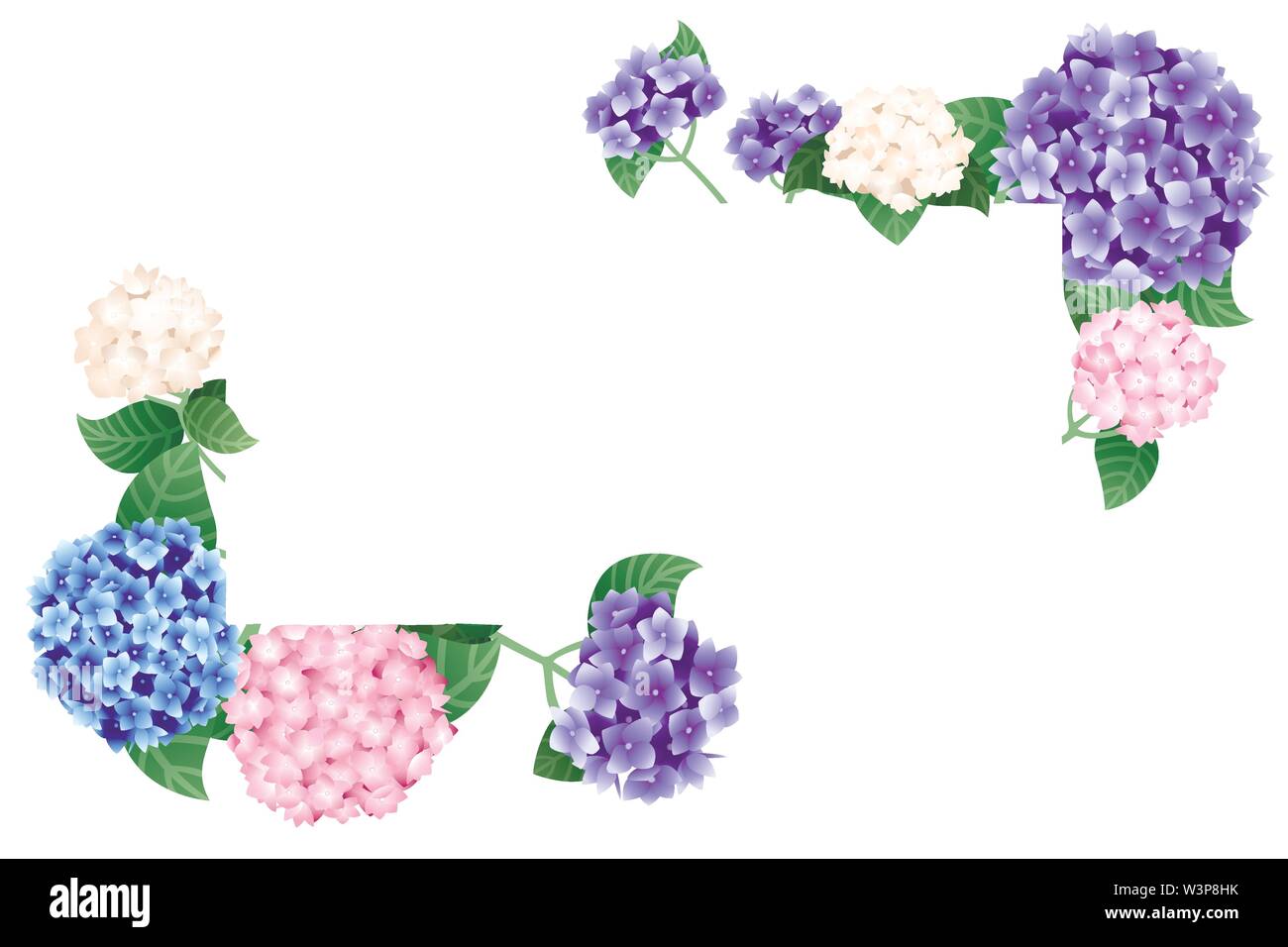 Horizontal colorful hydrangea template design banner flat vector ...