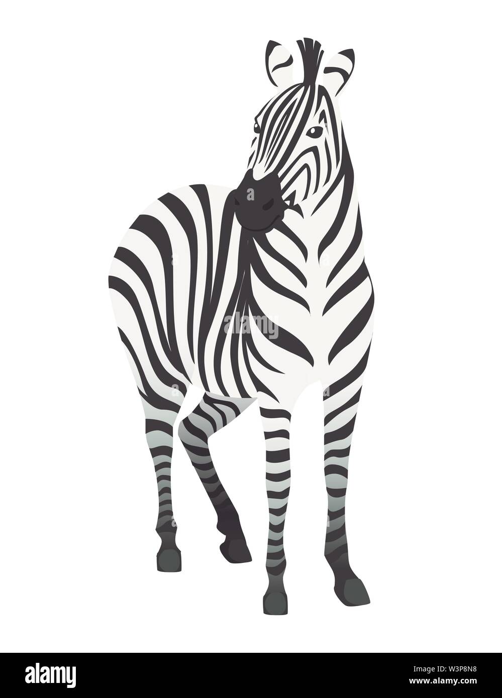African zebra front view cartoon animal design flat vector illustration ...