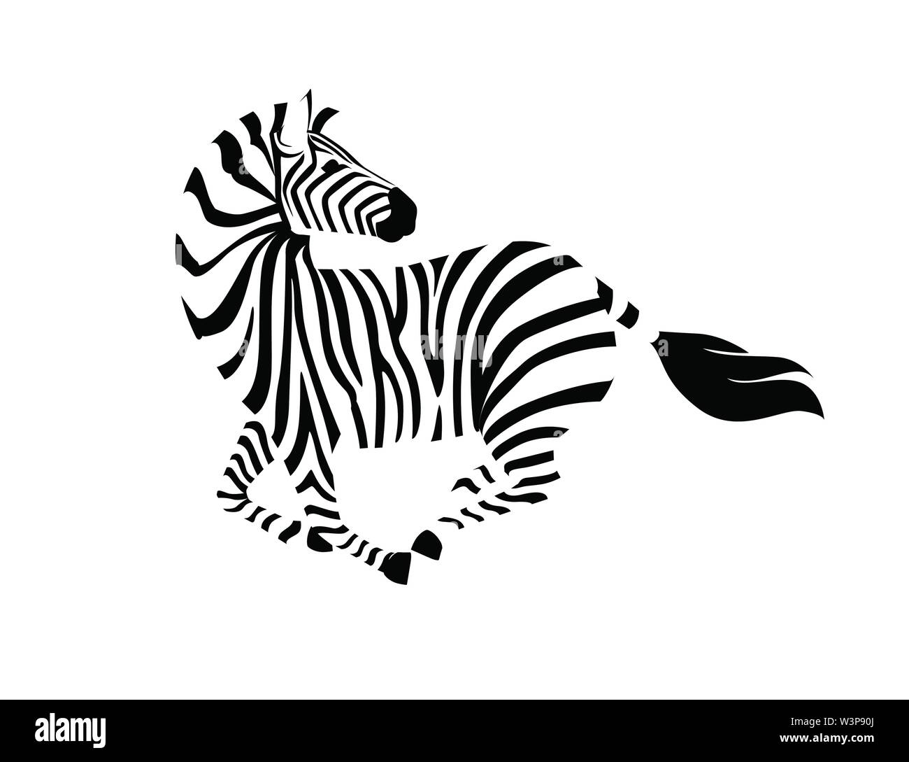 African zebra running with head looks back side view outline striped ...