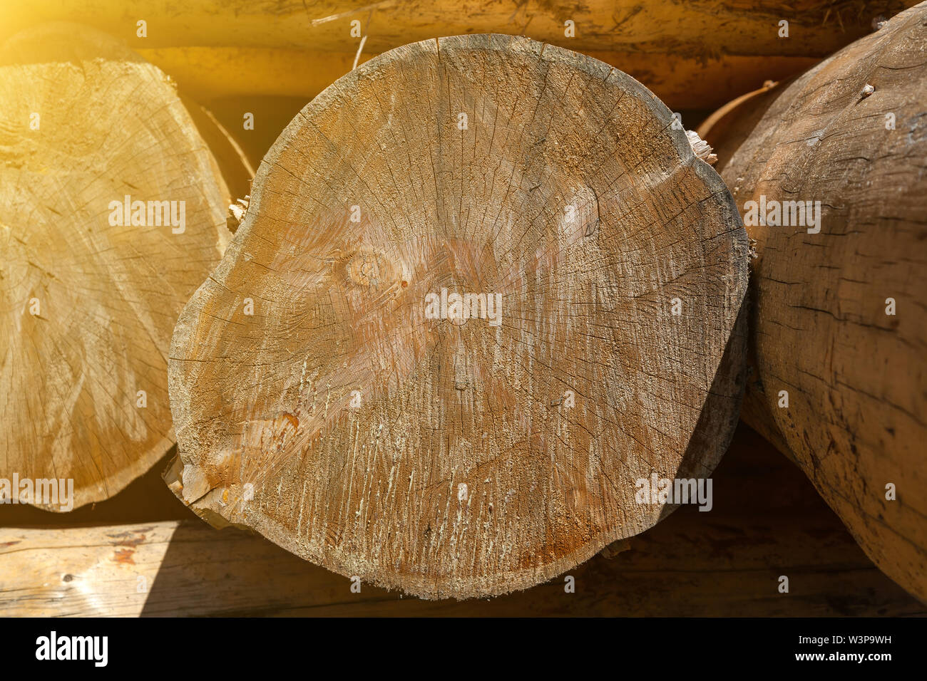 Close-up on a log of a tree in the form of a round timber with rings ...