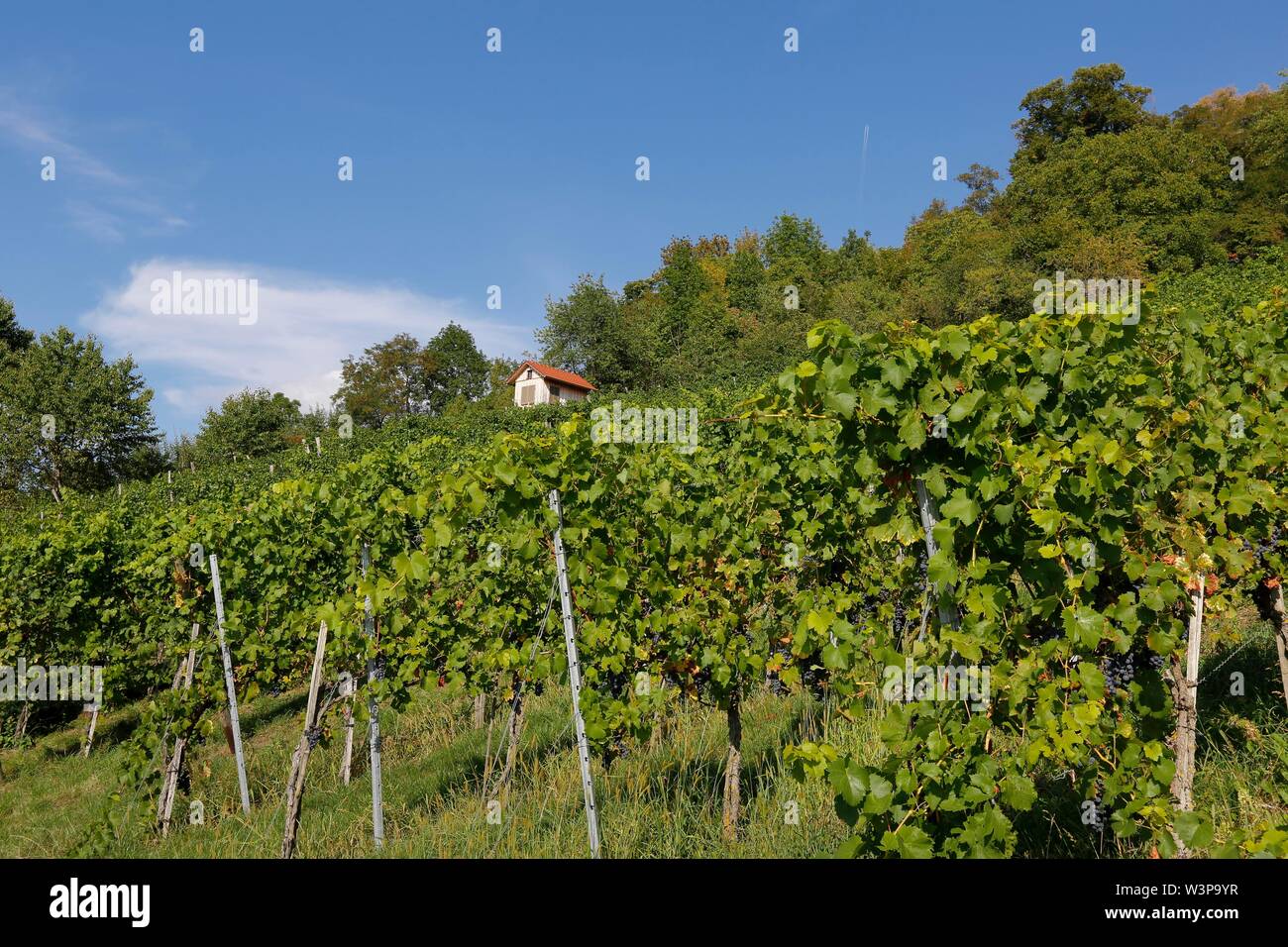 Metzingen hi-res stock photography and images - Alamy