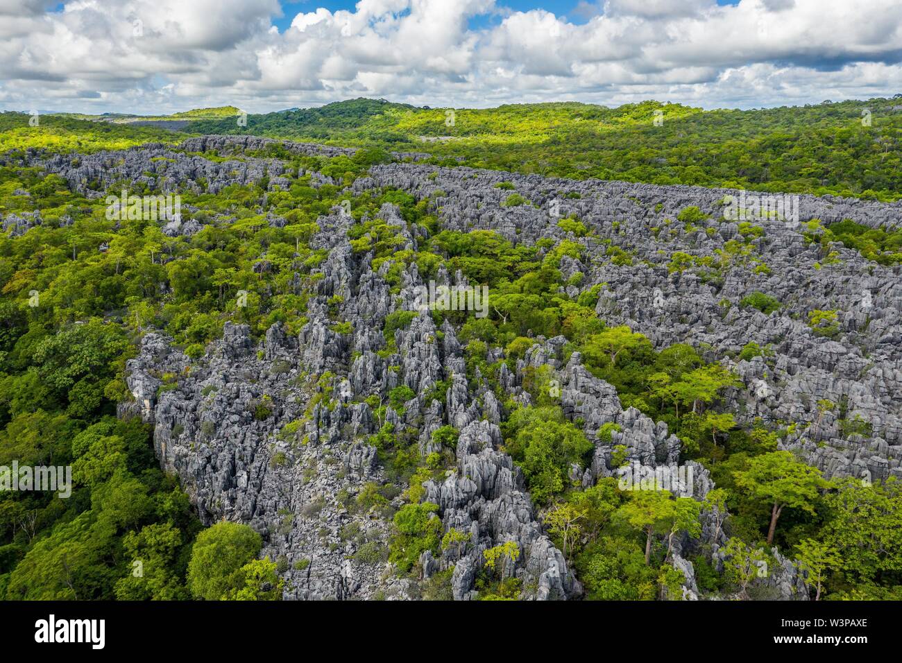 Rugged karst landscape, Tsingy de Ankarana, Ankarana National Park ...
