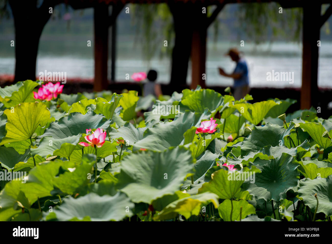 Nianjia hi-res stock photography and images - Alamy