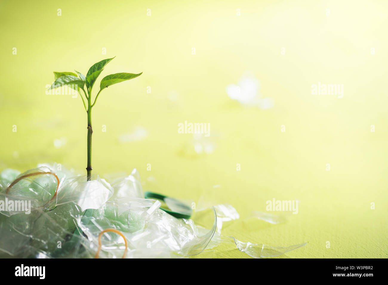 Plastic waste disposal concept with a green herb rising from a pile of ...