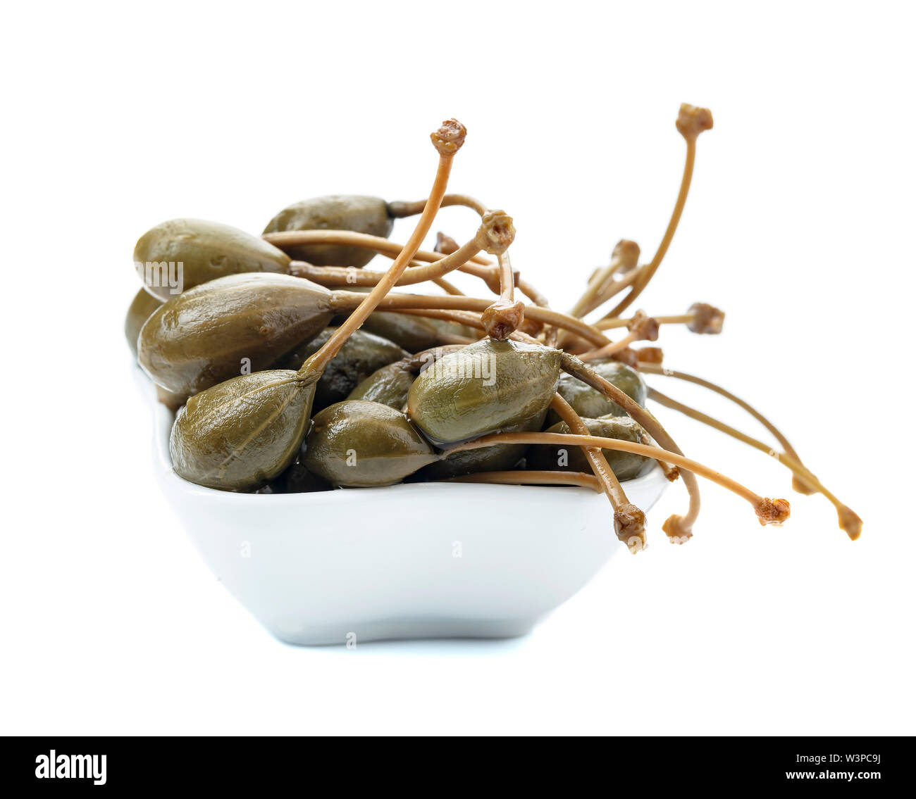 Pickled caper isolated on white background. Capparis pickled flower ...