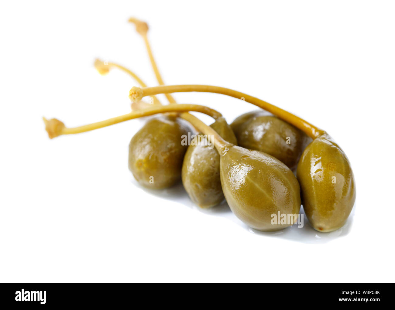 Pickled caper isolated on white background. Capparis pickled flower ...