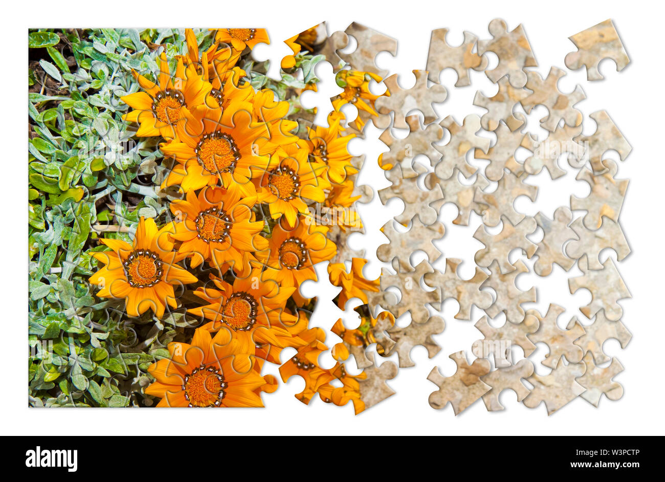 Spring concept in puzzle shape Stock Photo - Alamy
