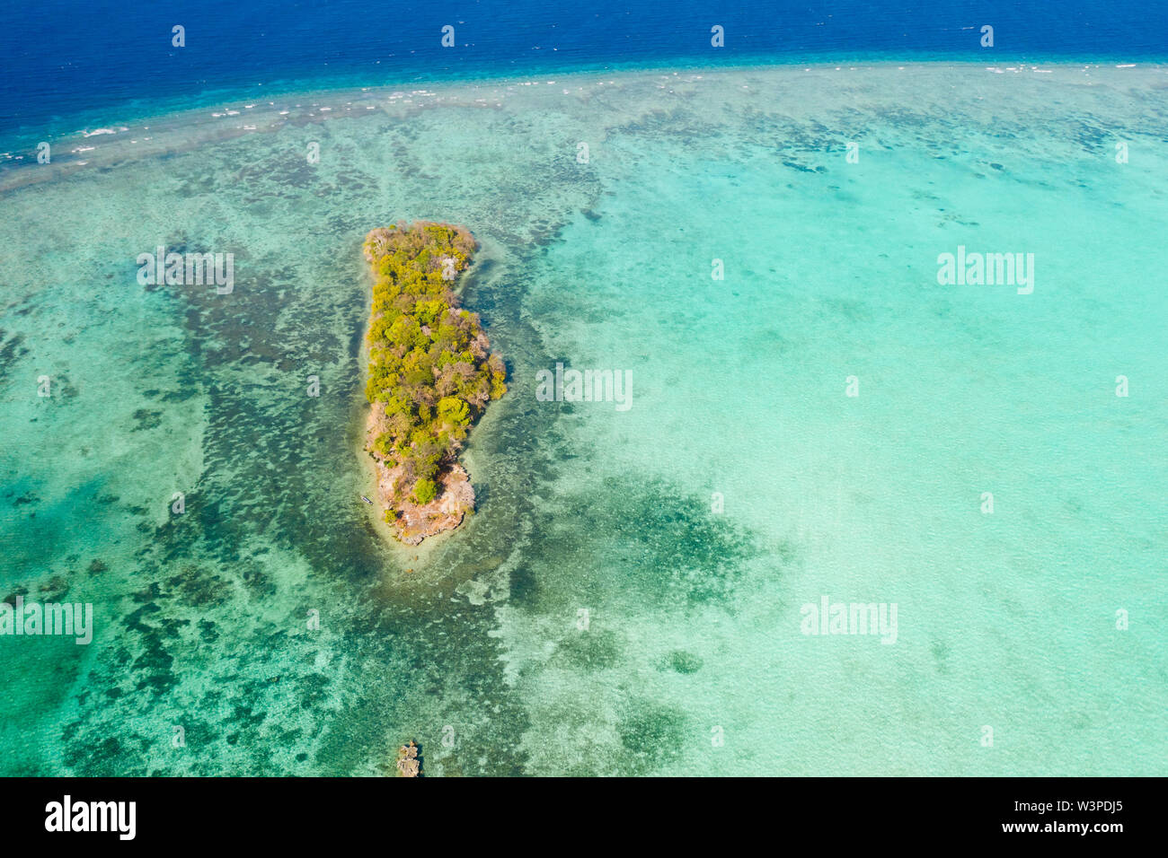Small island with trees. Island on a coral reef, top view. Nature of ...