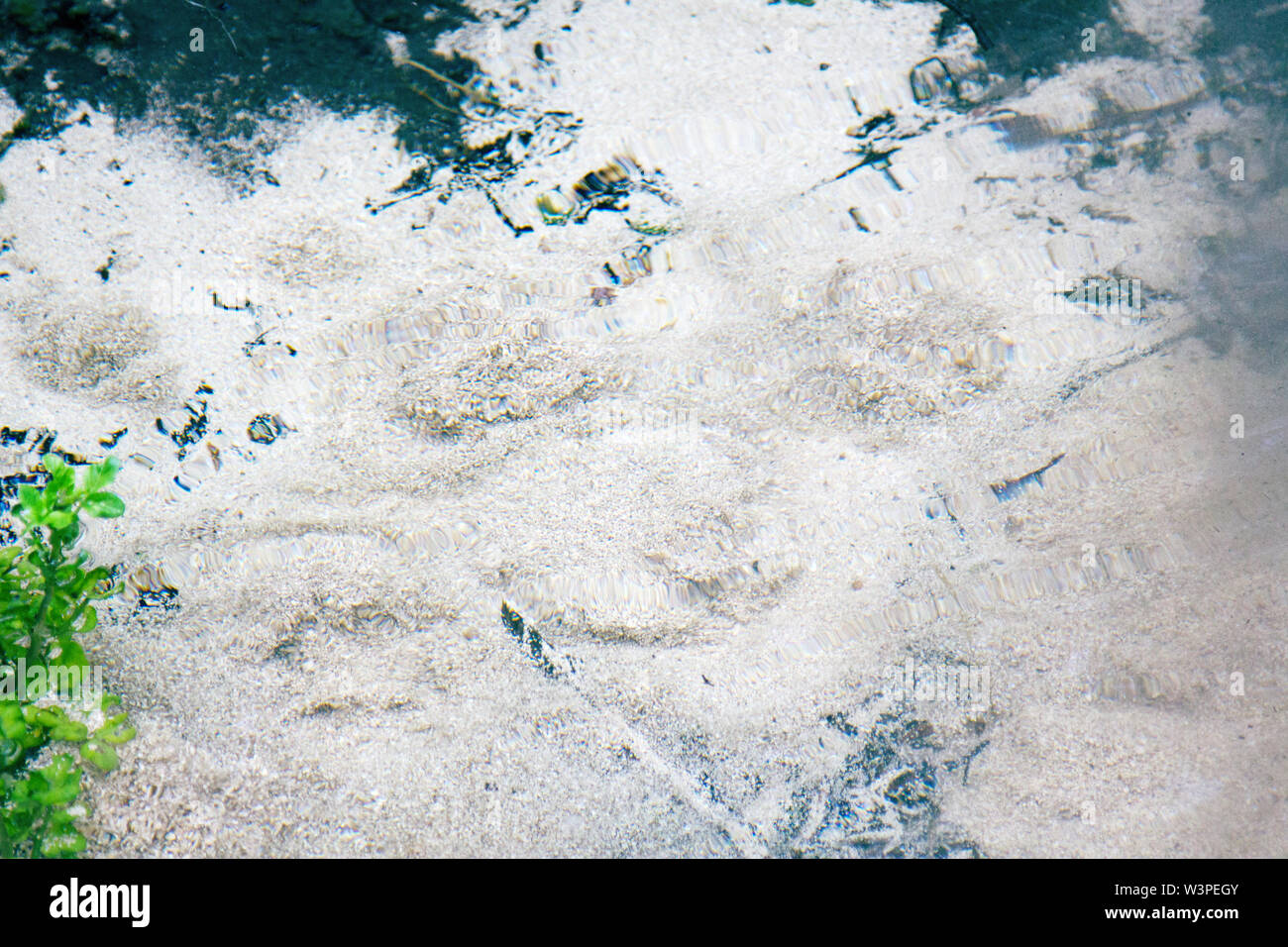 Spring crystal cleanest water, small wellhead, sandy bottom Stock Photo ...