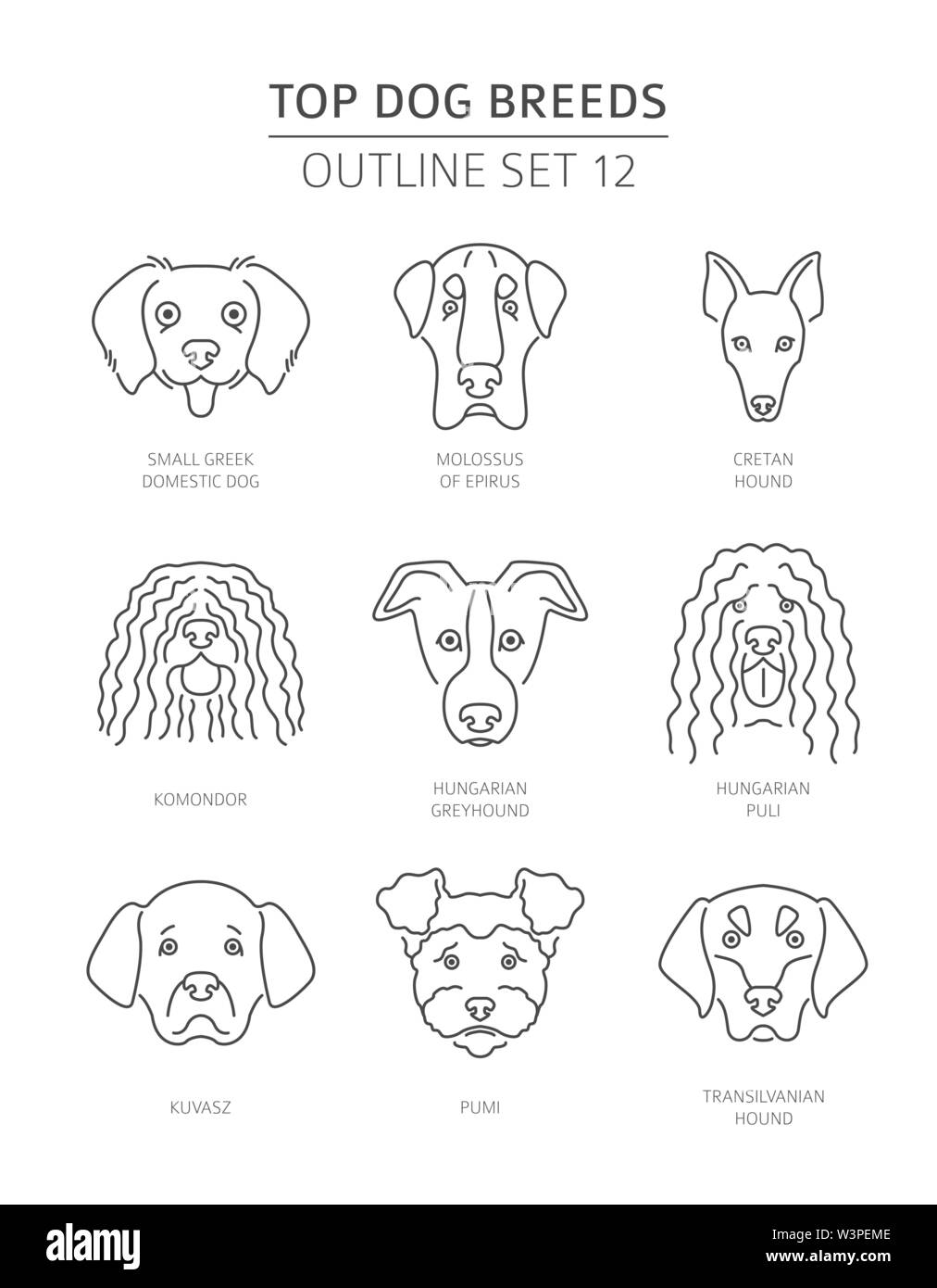 Hungarian pumi dog Stock Vector Images - Alamy