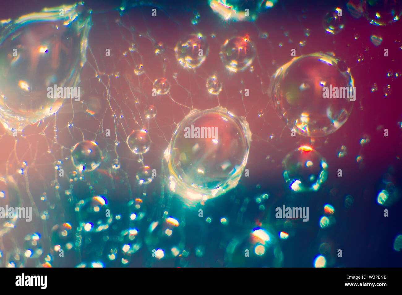 magic web with water droplets in the microcosm. ultra macro web in ...