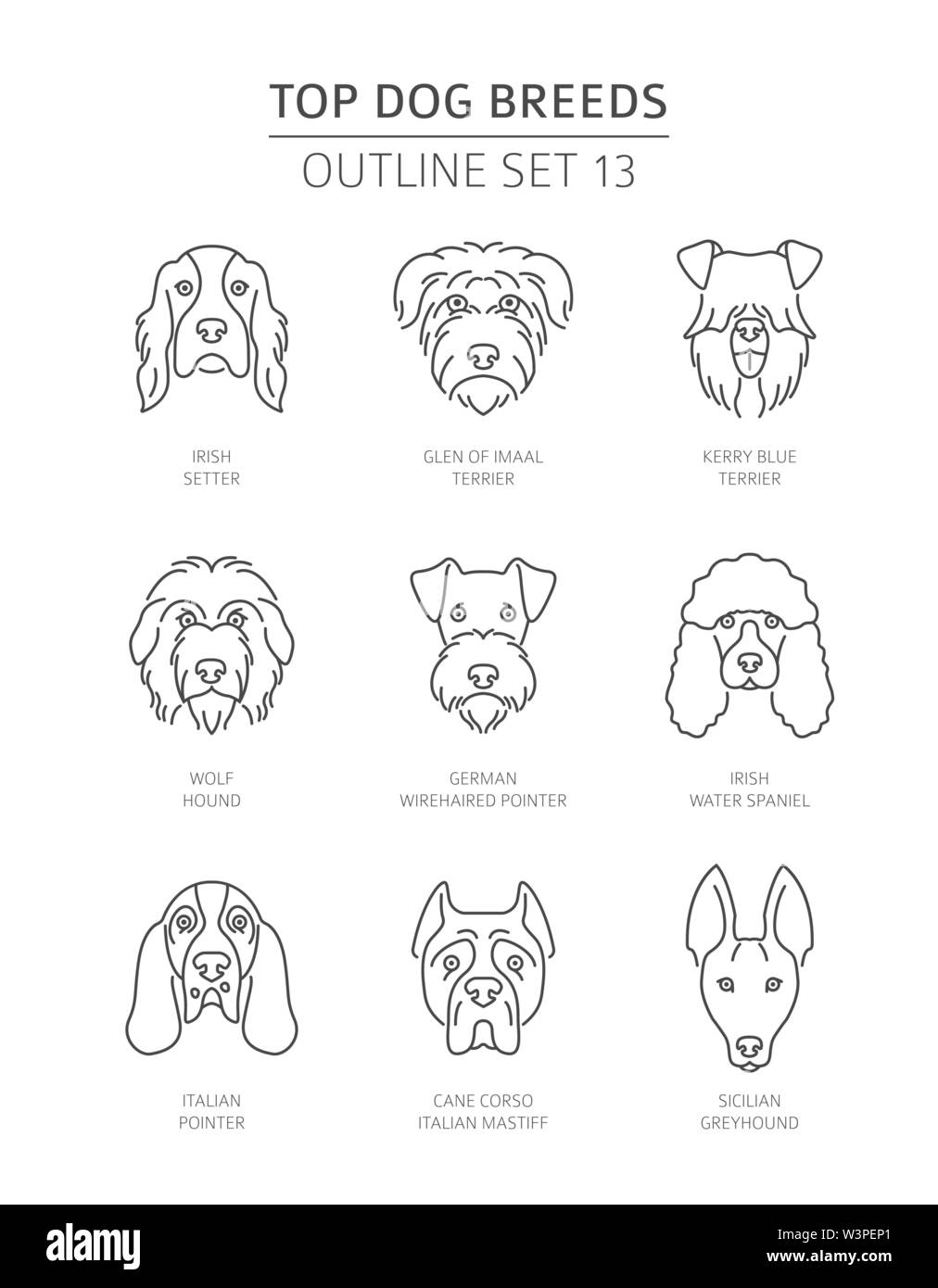 Top dog breeds. Pet outline collection. Vector illustration Stock ...