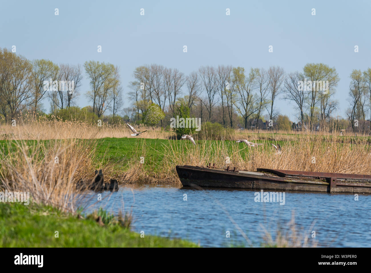 The water always finds its way through nature Stock Photo - Alamy