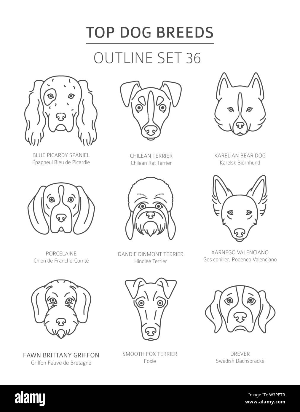 Hound bear hunting Cut Out Stock Images & Pictures - Alamy