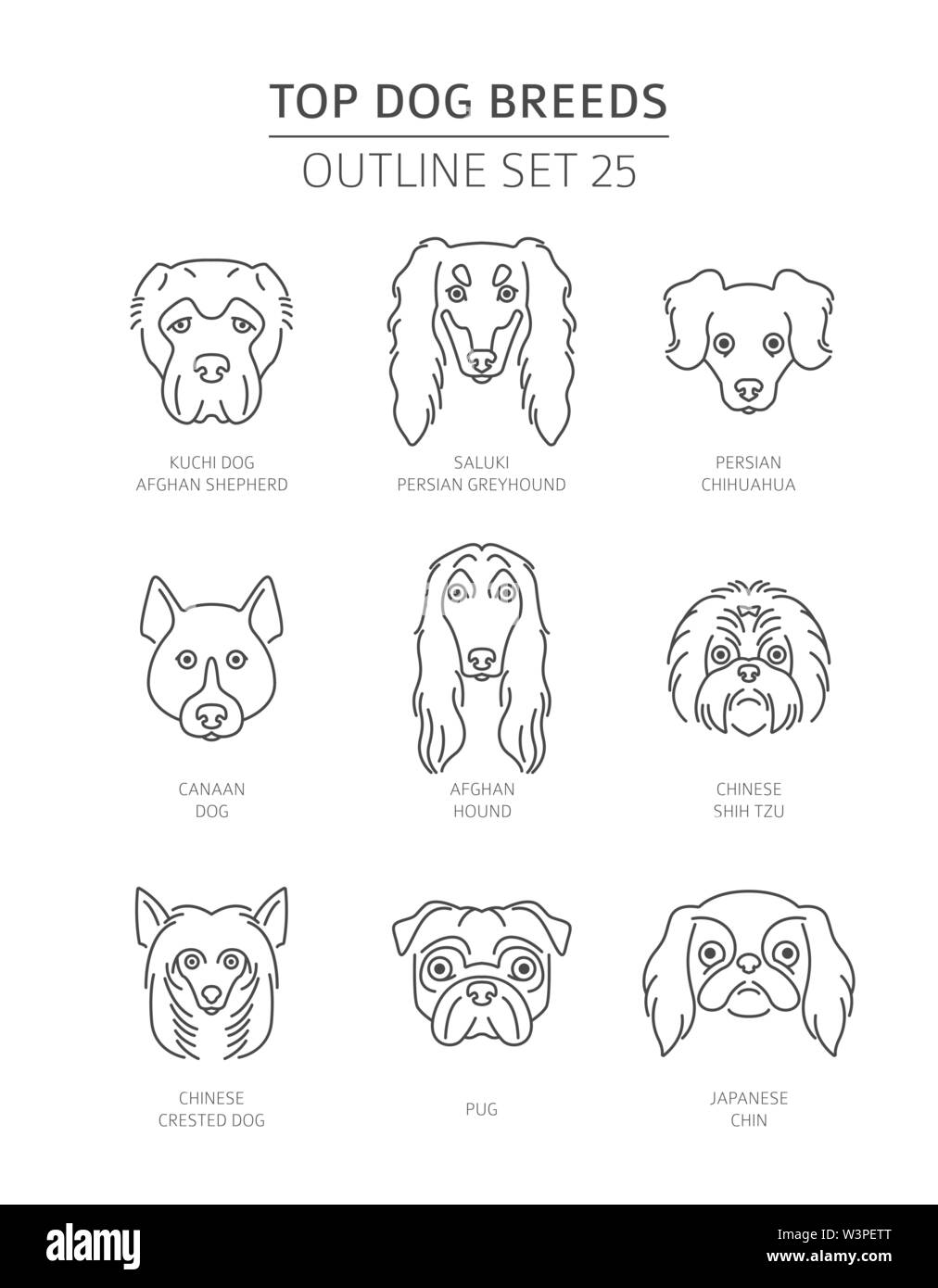 Top dog breeds. Pet outline collection. Vector illustration Stock ...