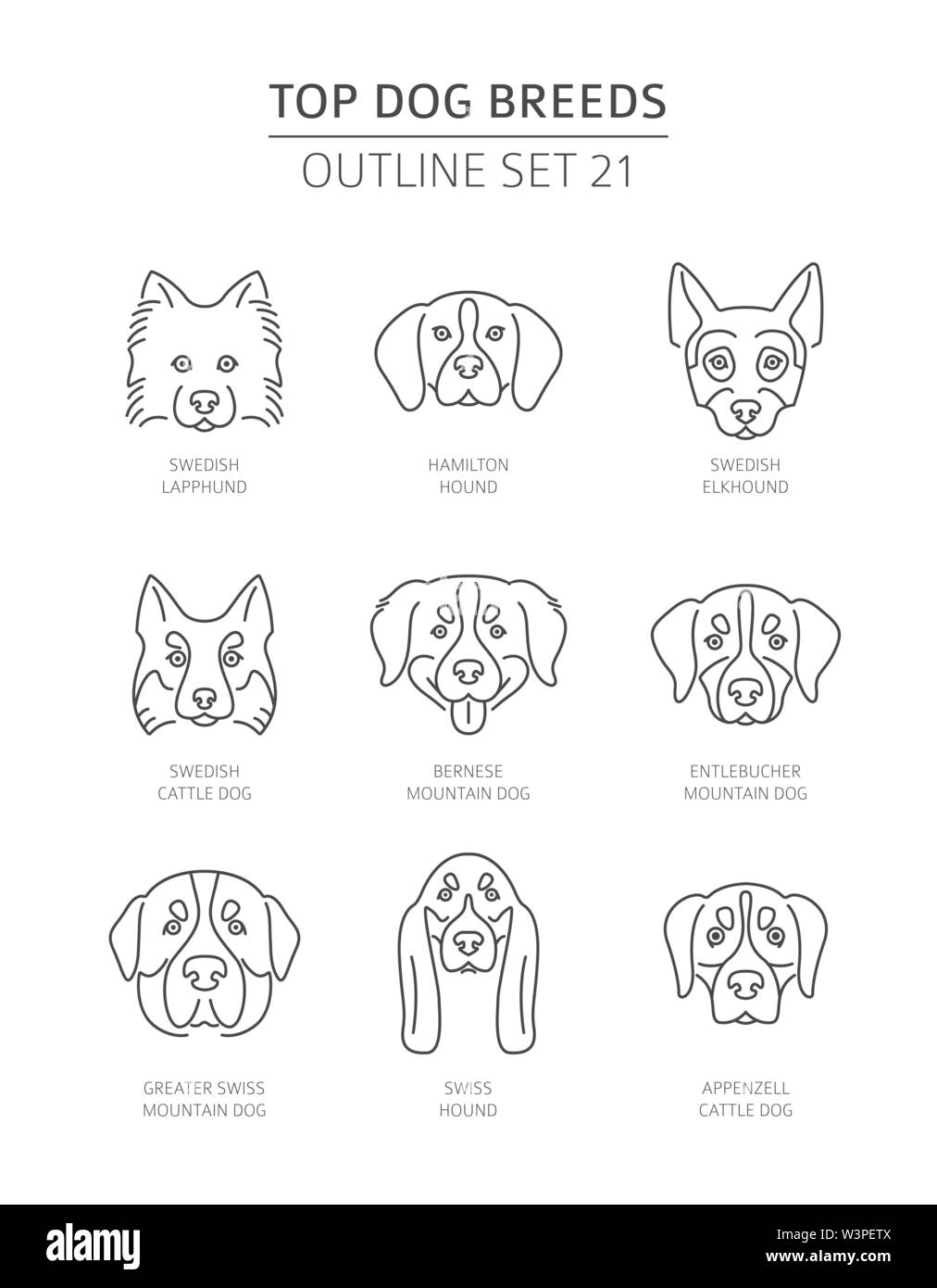 Top dog breeds. Pet outline collection. Vector illustration Stock ...