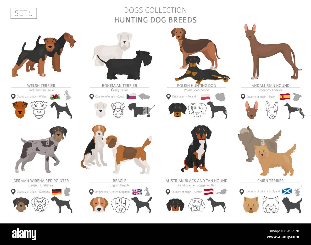 Drahthaar Stock Vector Images - Alamy