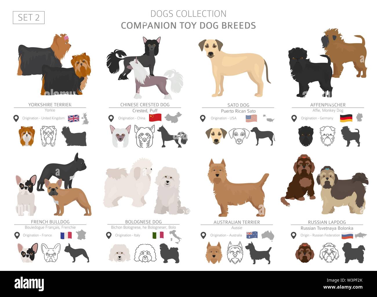 Toy Dog Breed Chart