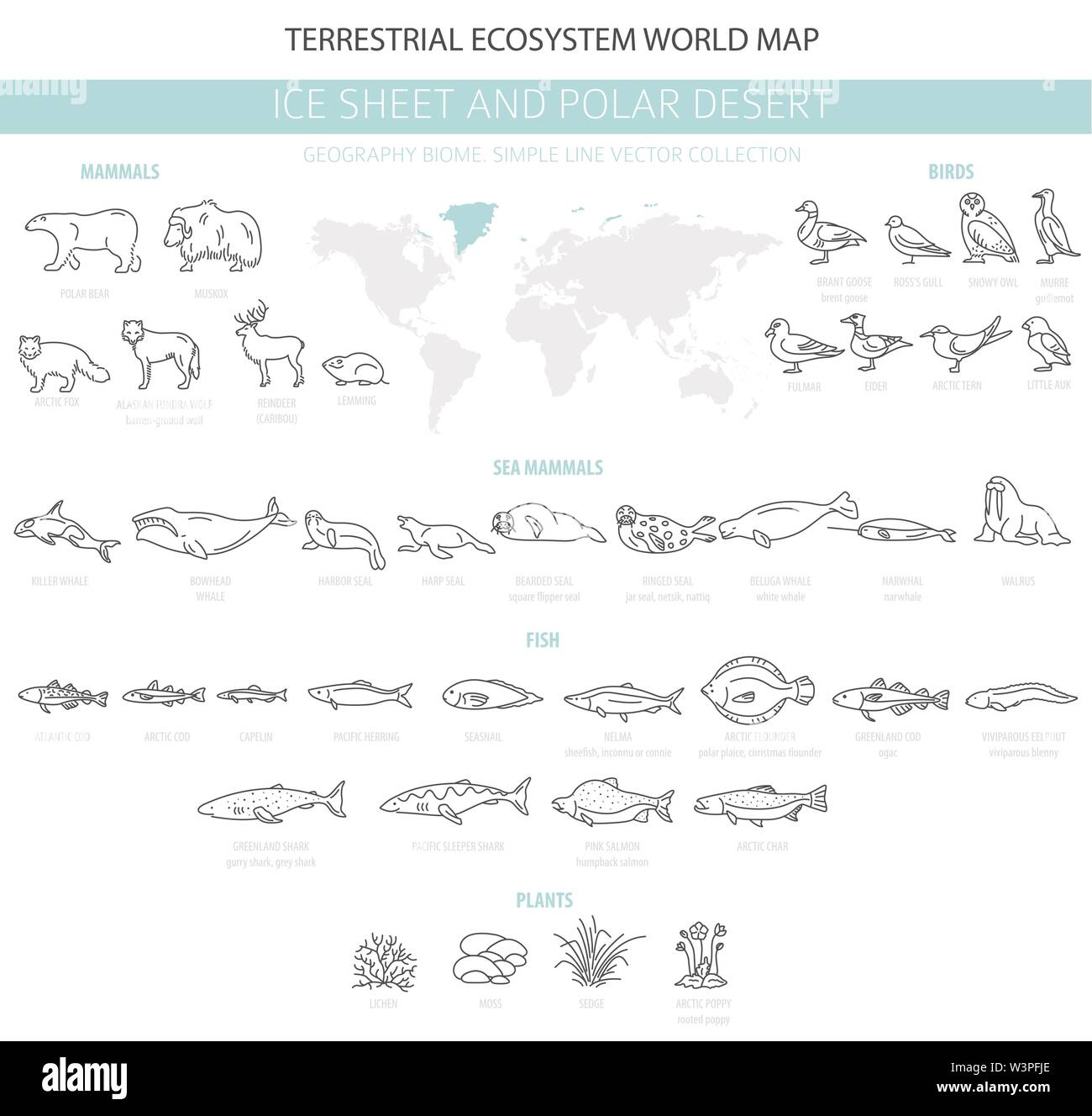 Ice sheet and polar desert biome. Simple line style. Terrestrial ...