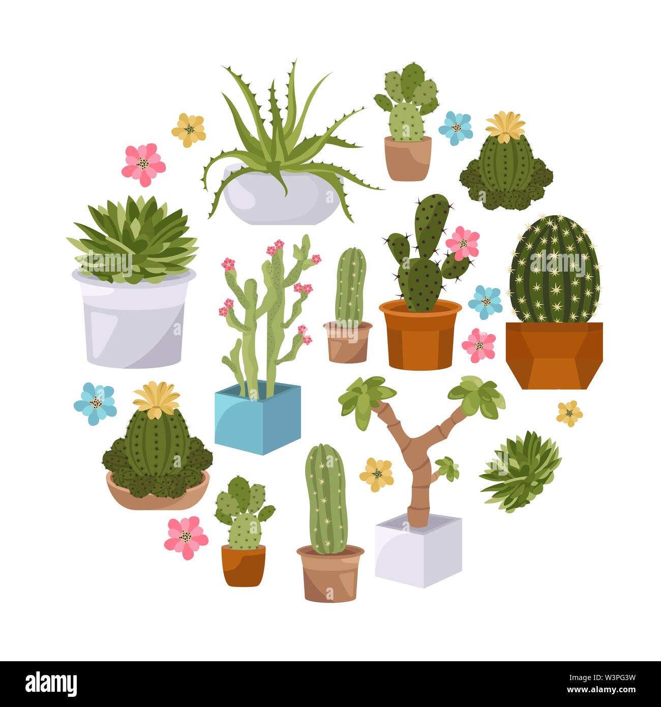Cactuses and succulents icon set. Houseplants. Vector illustration ...