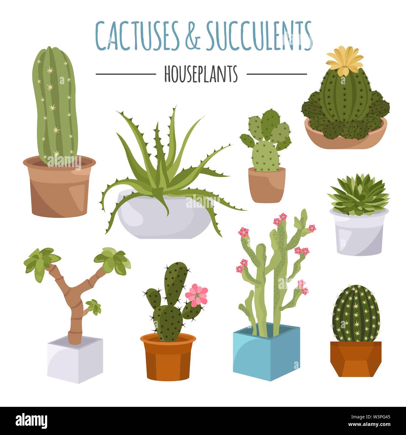 Cactuses and succulents icon set. Houseplants. Vector illustration ...