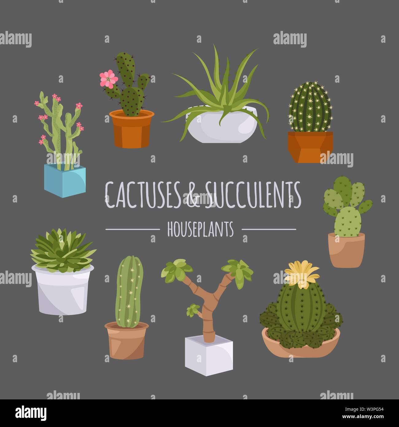 Cactuses and succulents icon set. Houseplants. Vector illustration ...