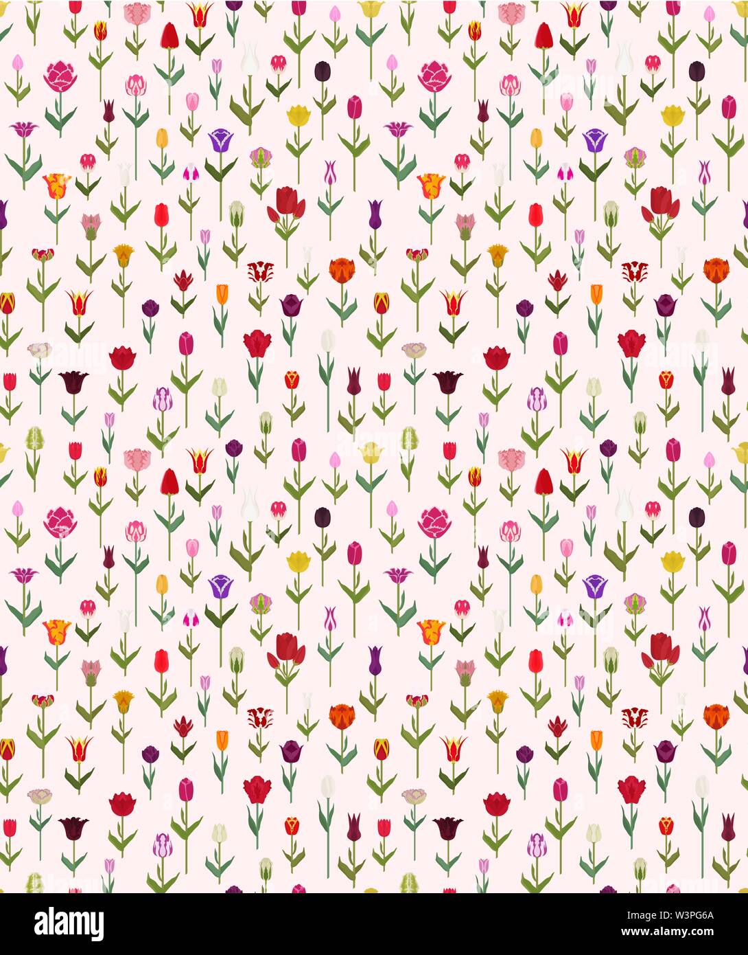 Tulip varieties flat seamless pattern. Garden flower and house plants ...