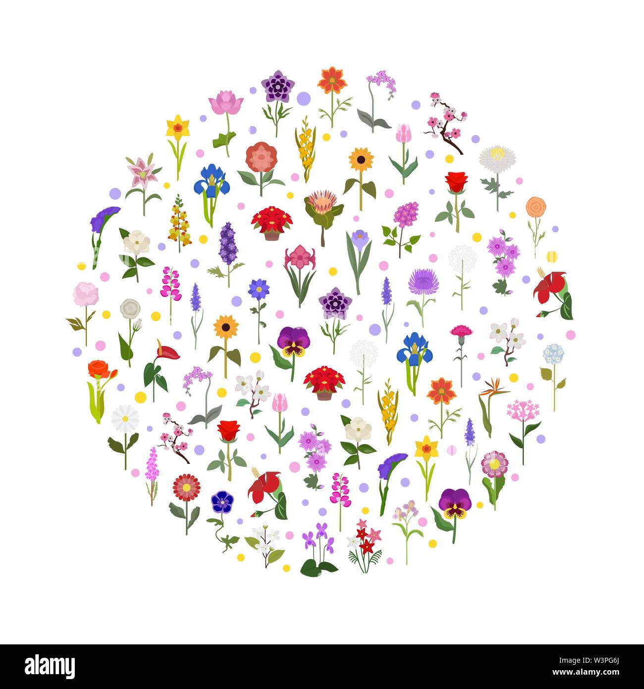 Your garden guide. Top 50 most popular flowers infographic. Vector ... Your garden guide. Top 50 most popular flowers infographic. Vector ...