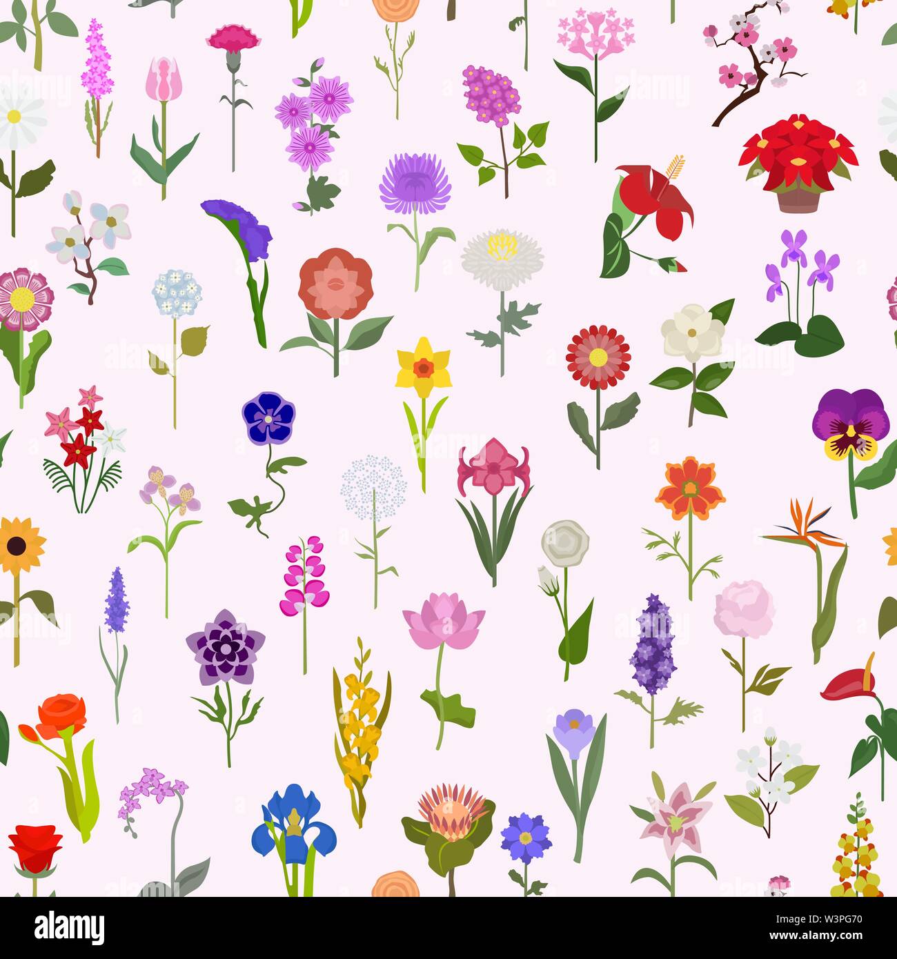 Your garden guide. Top 50 most popular flowers seamless pattern. Vector ... Your garden guide. Top 50 most popular flowers seamless pattern. Vector ...