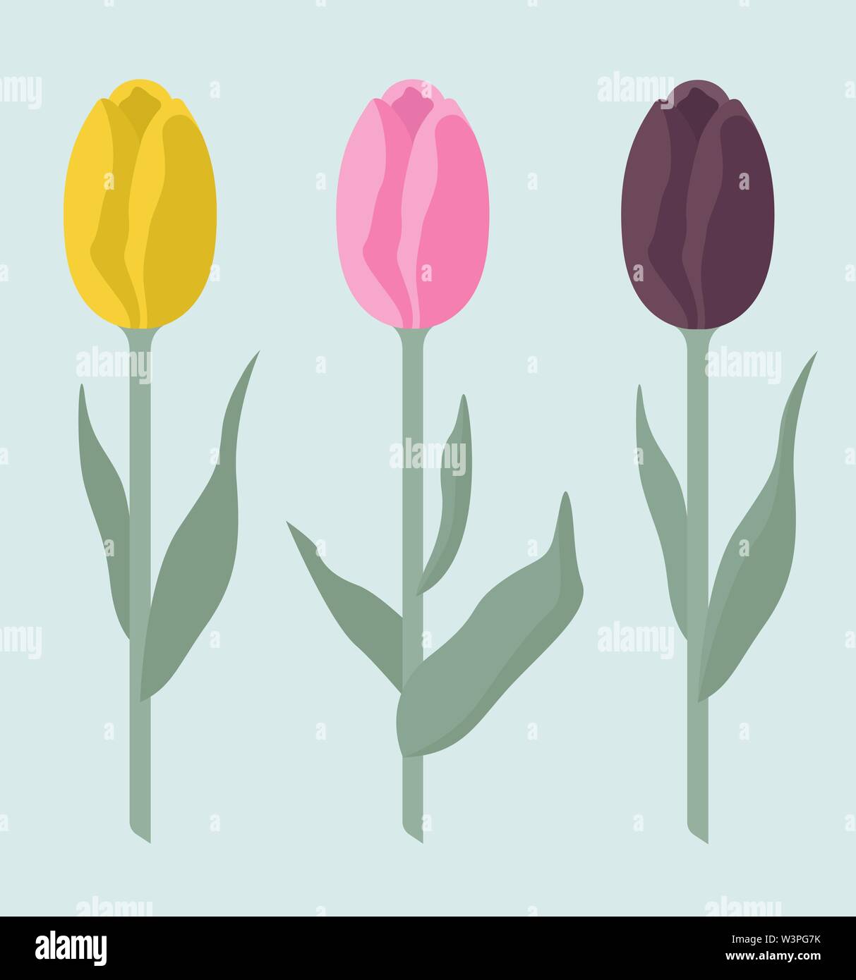 Tulip varieties flat icon set. Garden flower and house plants ...