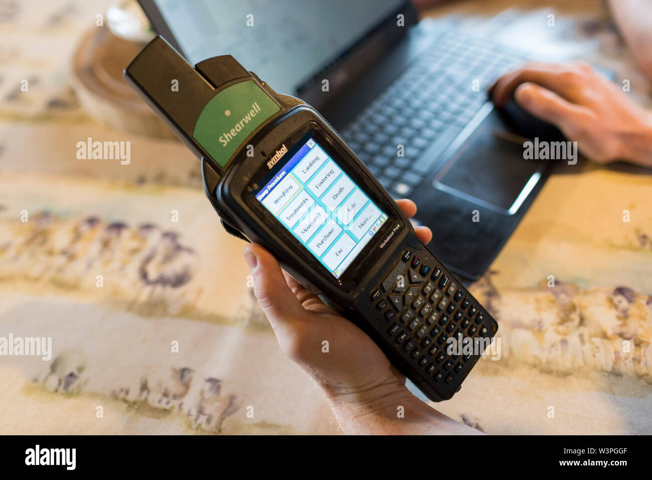 Shearwell High Resolution Stock Photography and Images - Alamy