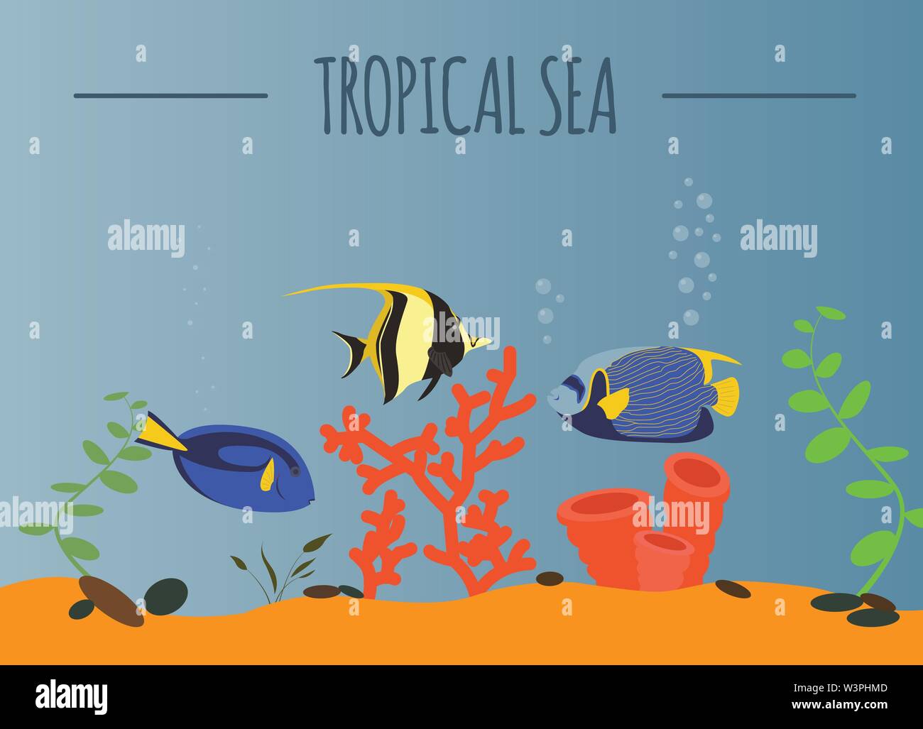 Angel fish oceania Stock Vector Images - Alamy