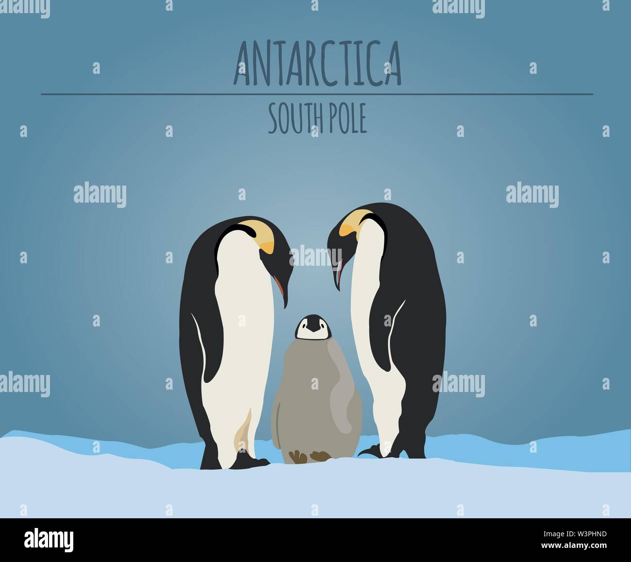 Antarctica (South Pole) graphic template. Vector illustration Stock ...