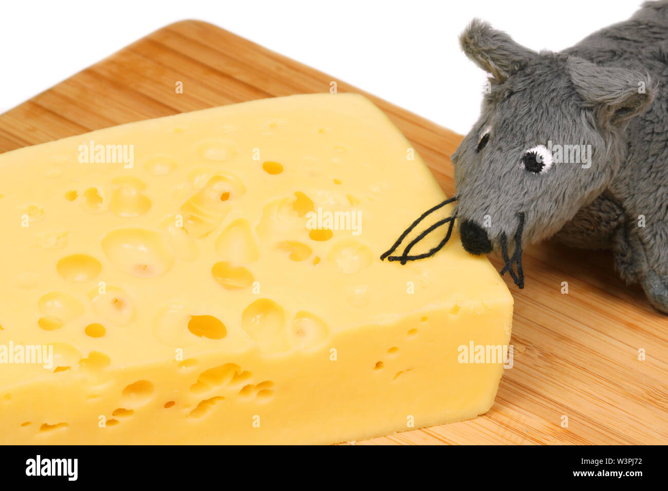 Mouse eating cheese hi-res stock photography and images - Alamy