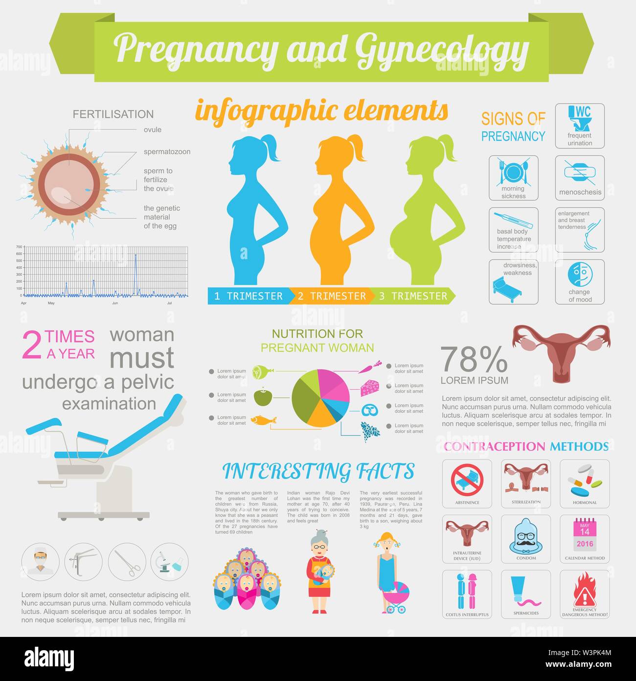 Gynecology and pregnancy infographic template. Motherhood elements ...
