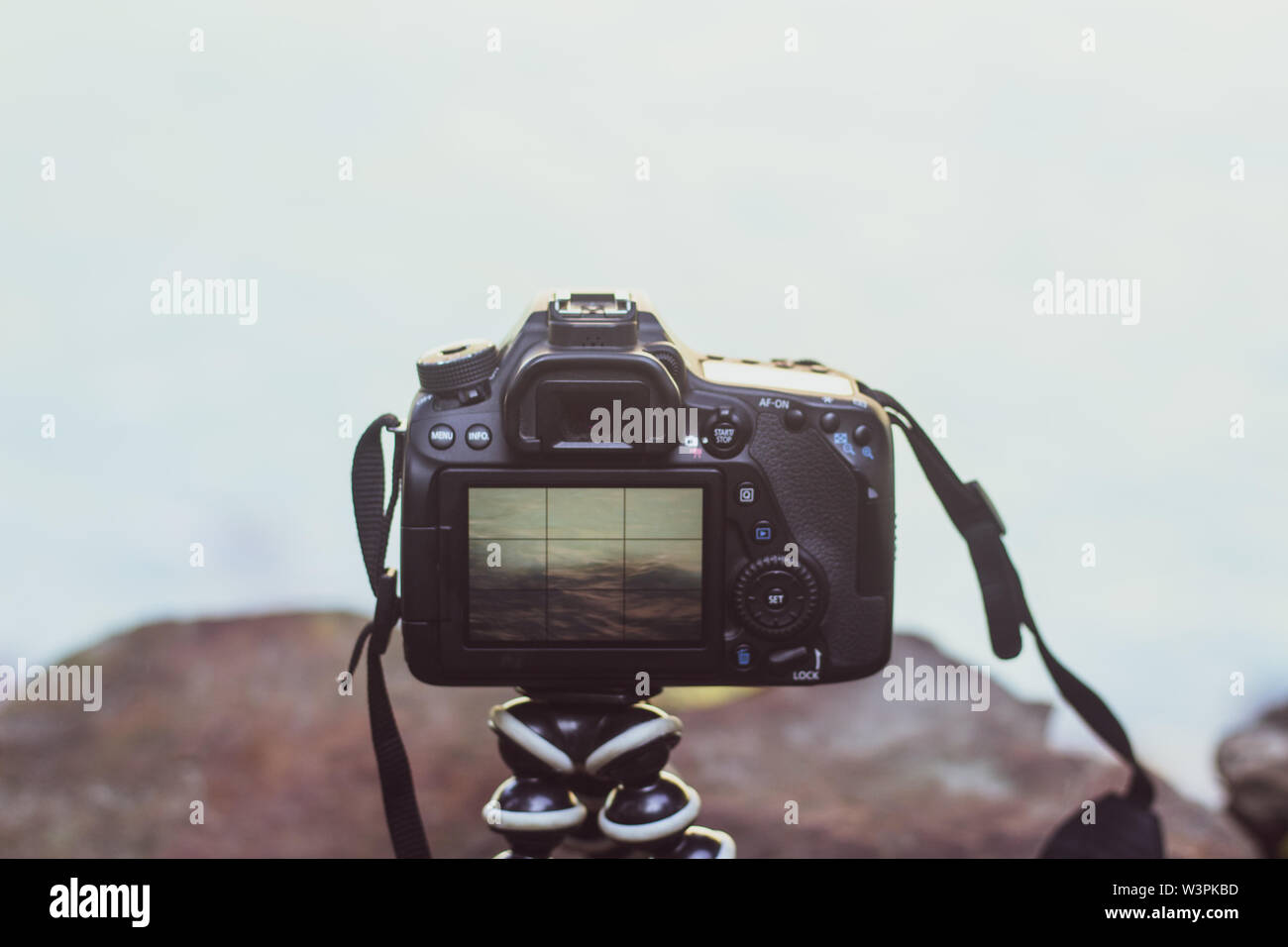 Taking a photo of a gorilla hi-res stock photography and images - Alamy