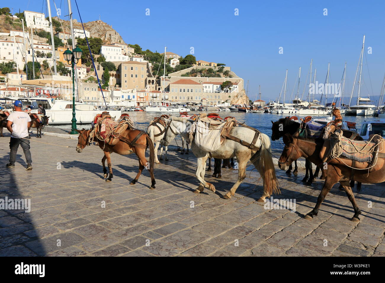 Man pulling a mule at Hydra Port, Hydra Town, Hydra Island, Greece ...
